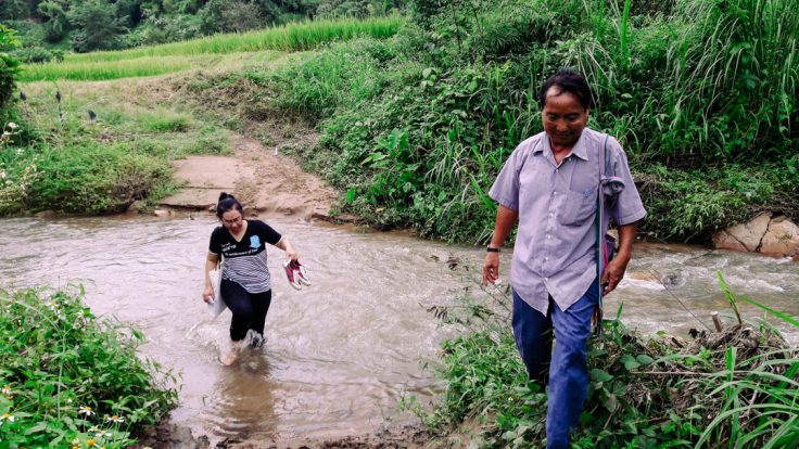 Elephant Peace Project – learning the wisdom and knowledge of the Karen