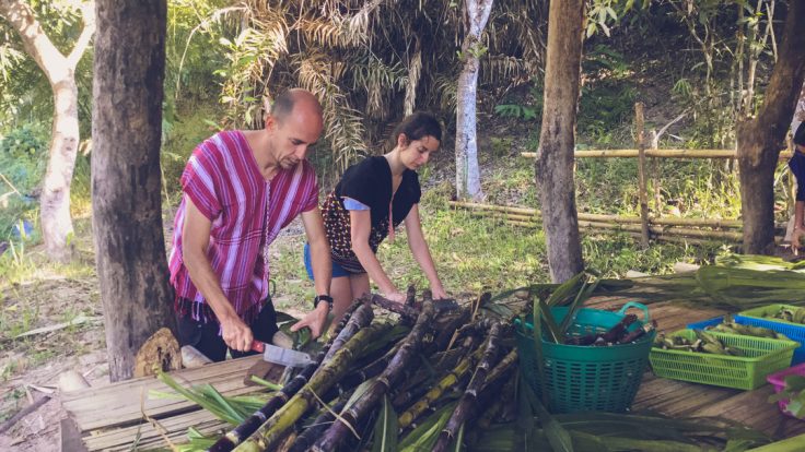 Elephant Peace Project – learning the wisdom and knowledge of the Karen