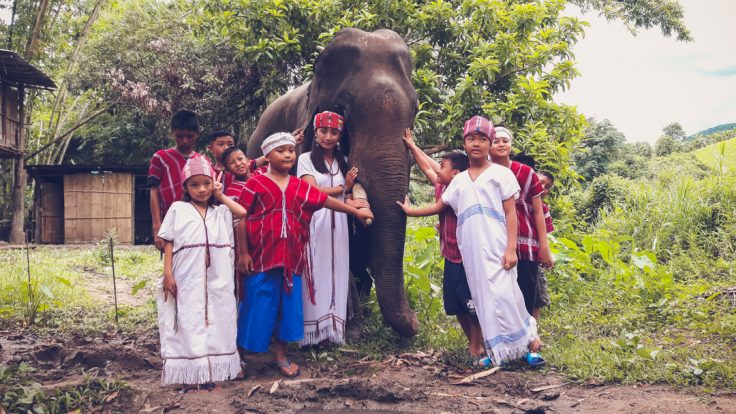 Elephant Peace Project – learning the wisdom and knowledge of the Karen