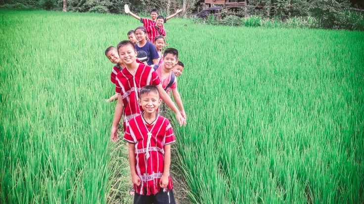 Elephant Peace Project – learning the wisdom and knowledge of the Karen