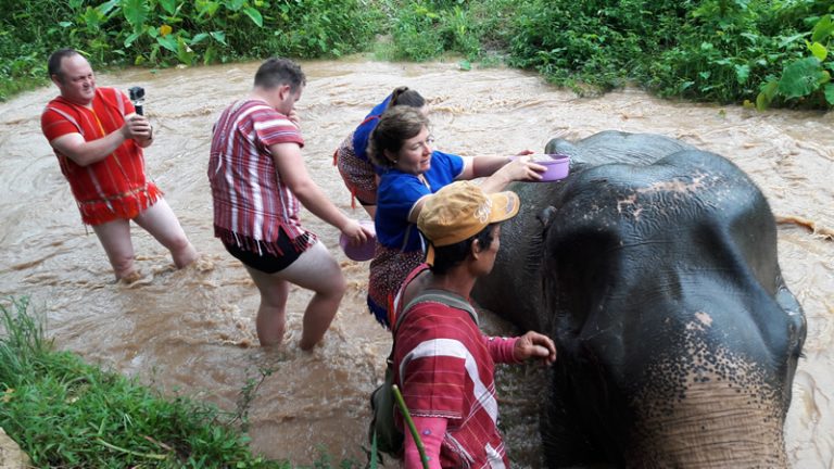 Elephant Peace Project – learning the wisdom and knowledge of the Karen